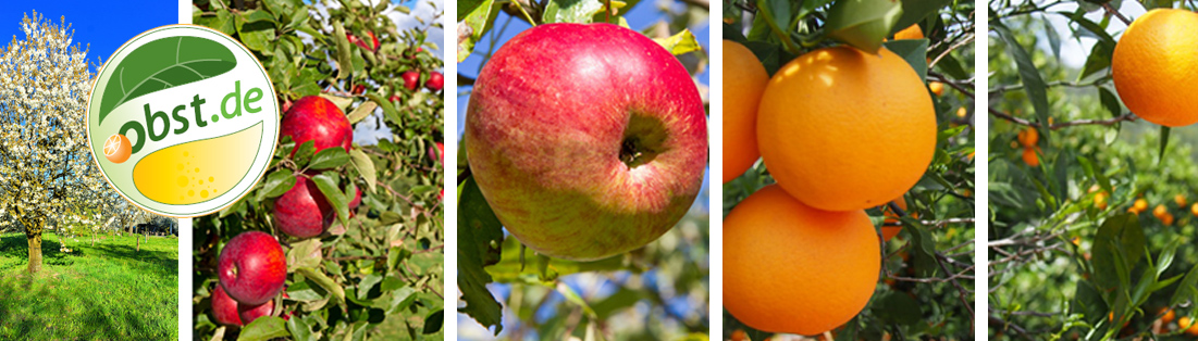 Obst: Wir sagen Danke... | Milled