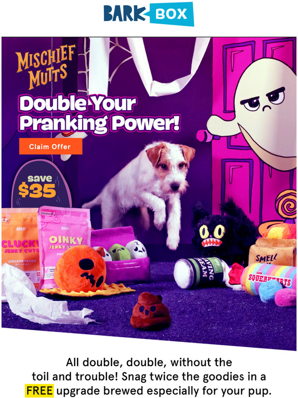 BarkBox: A Spooky Special Deal for Your Pup | Milled