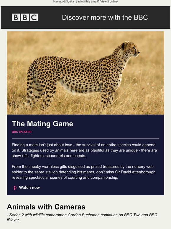 BBC: New: The Mating Game | How your trip to a game reserve can stress ...