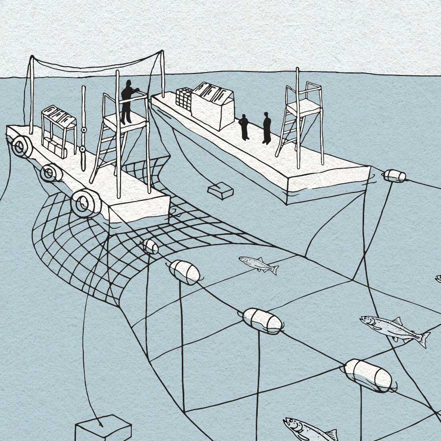 Patagonia: Ocean-friendly seafood | Milled