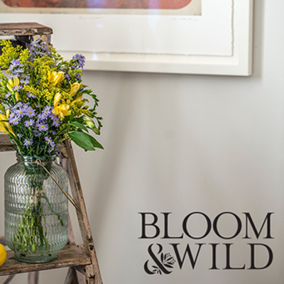 The Rose Gallery: A peek at what's new in the Rose Gallery! | Milled