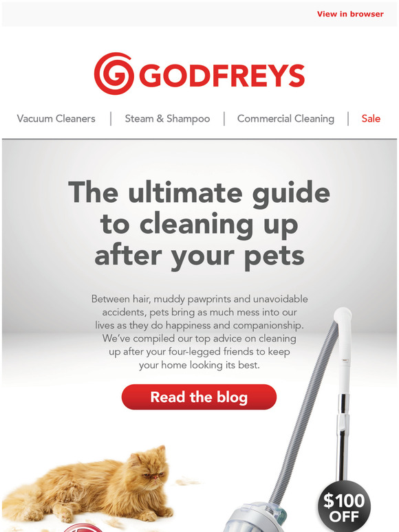 Godfreys: Our top tips for cleaning up pet mess | Milled