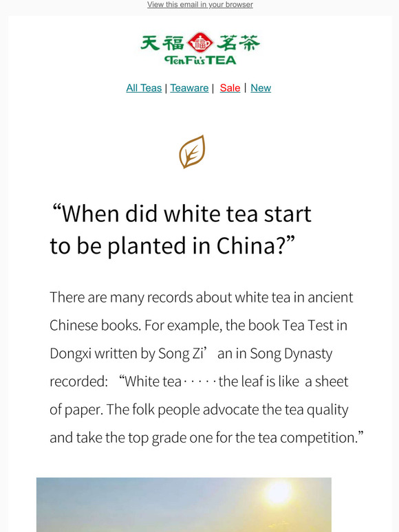 TenFu TEA: The History of Tea | Origin of white tea | Milled
