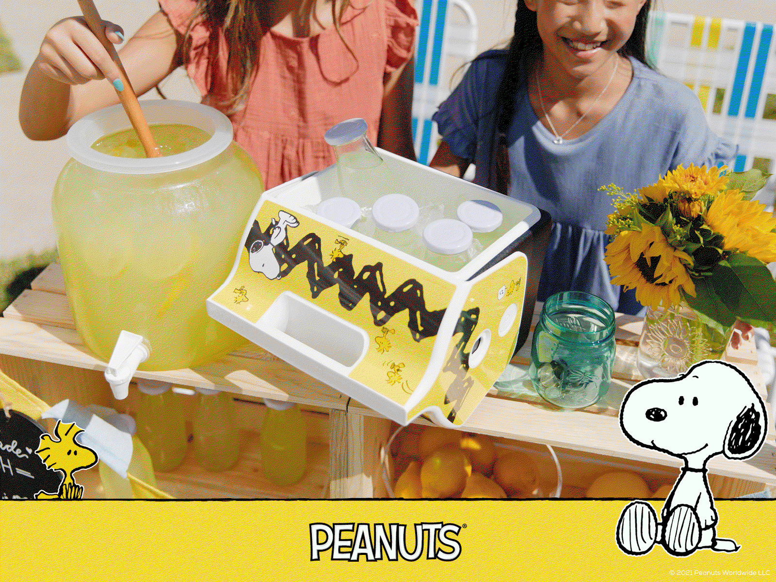 Igloo-Store.com: Its the Peanuts Cooler Collection, Charlie Brown! | Milled