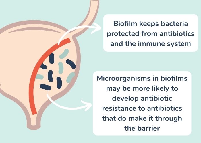 Uqora: UTIs? Here's why you need to know about biofilm | Milled