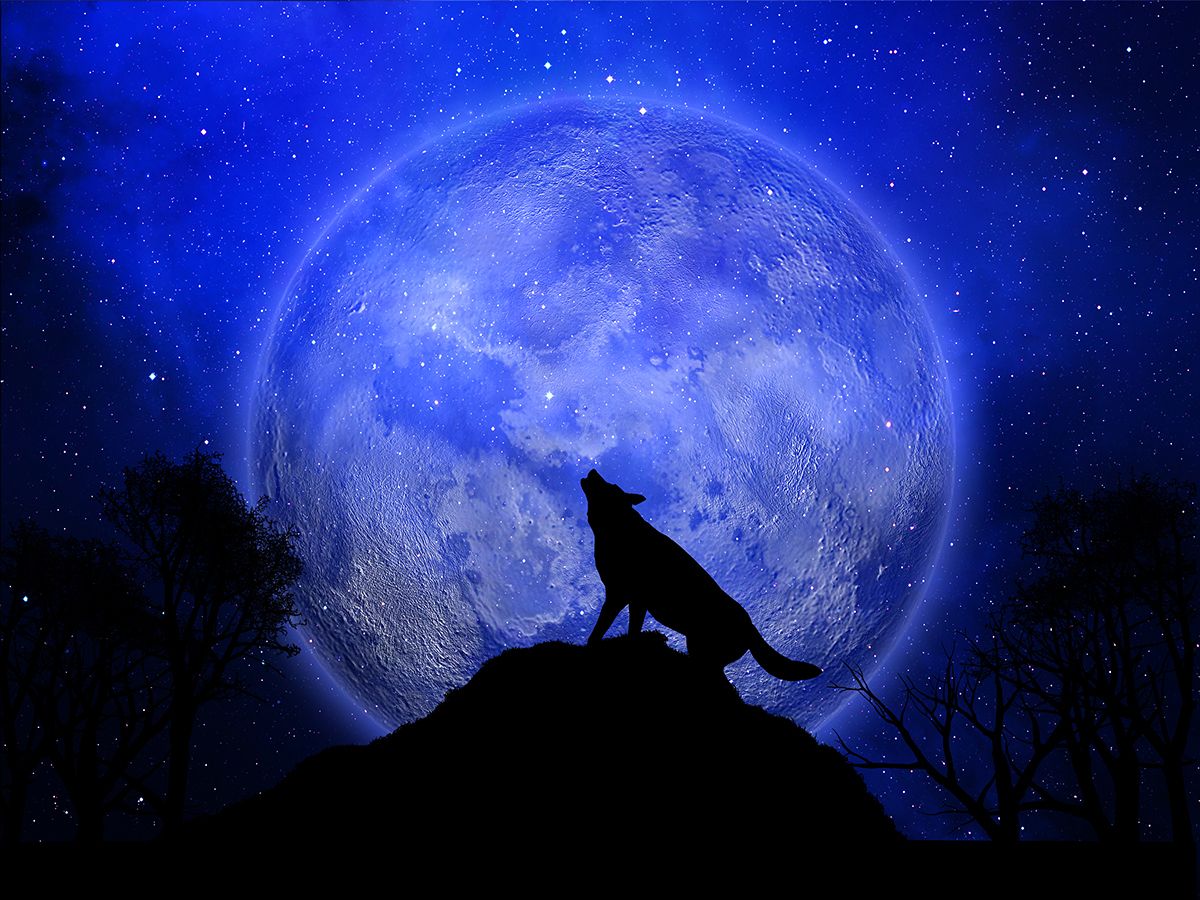 Under Lucky Stars: Full Moon Creatures | Milled