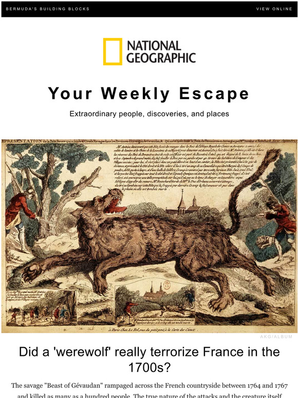 National Geographic: YOUR WEEKLY ESCAPE: The 'werewolf' that terrorized ...