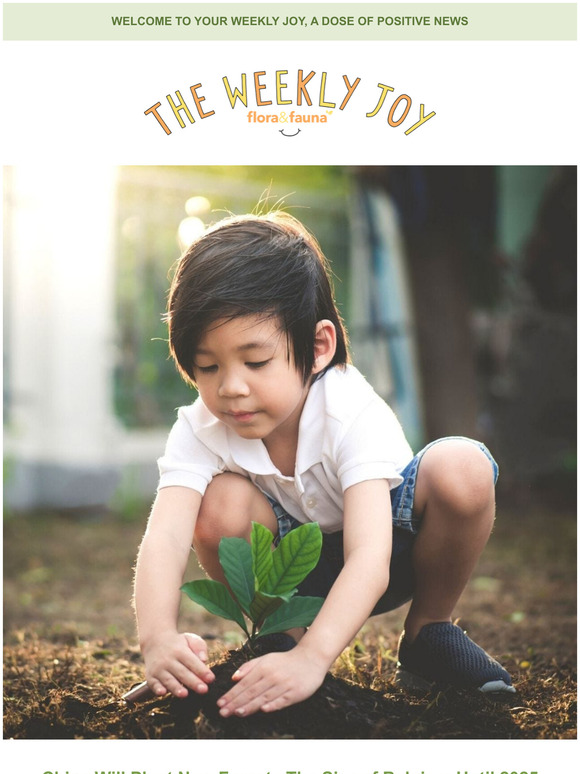 Flora and Fauna: China Announces Tree Planting Pledge! | Milled