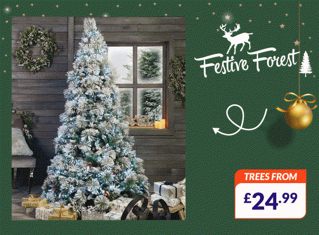 The Range: Pick the perfect tree for Christmas at The Range | Milled