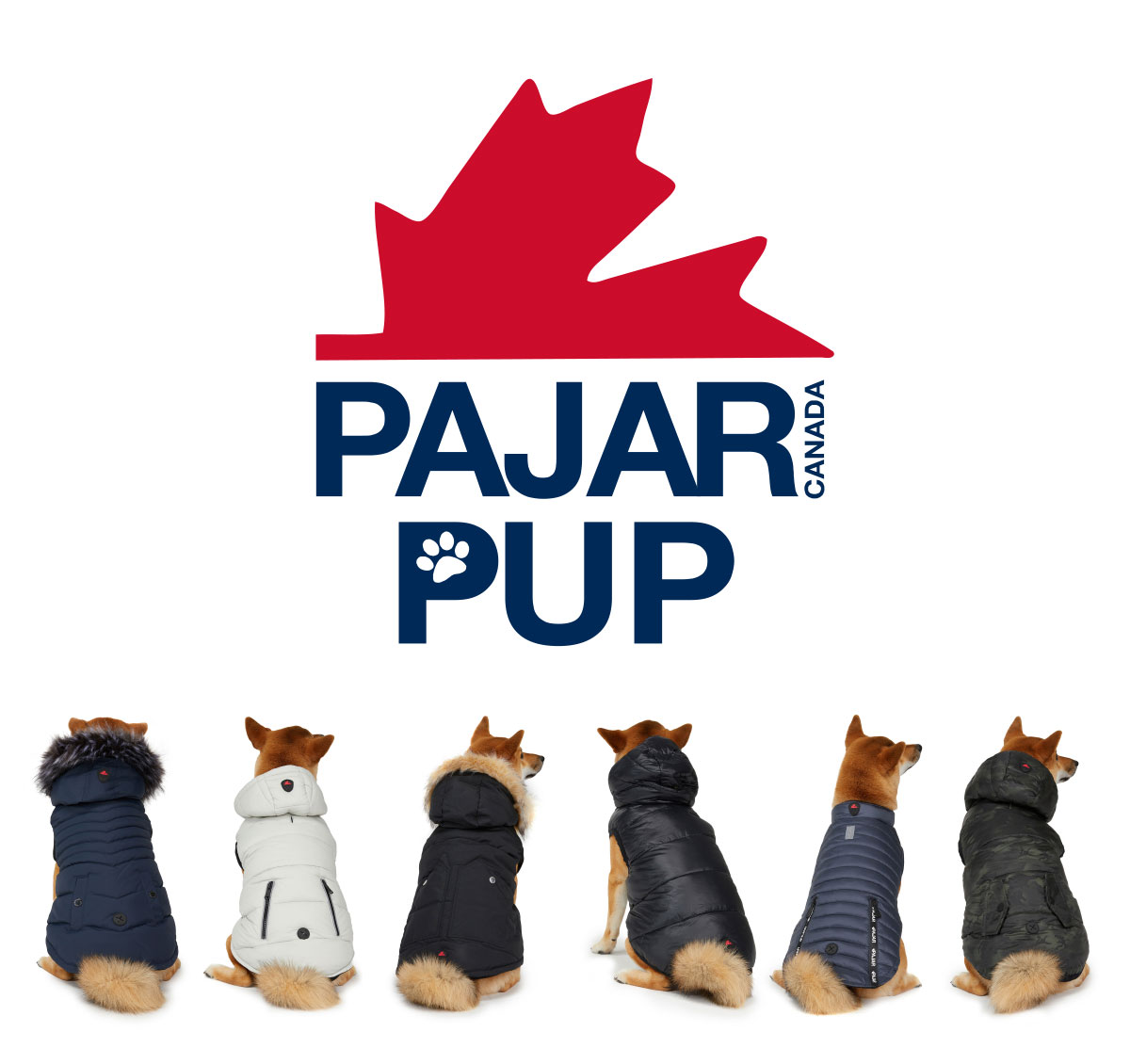 Pajar: Time to play catch and match! | Milled