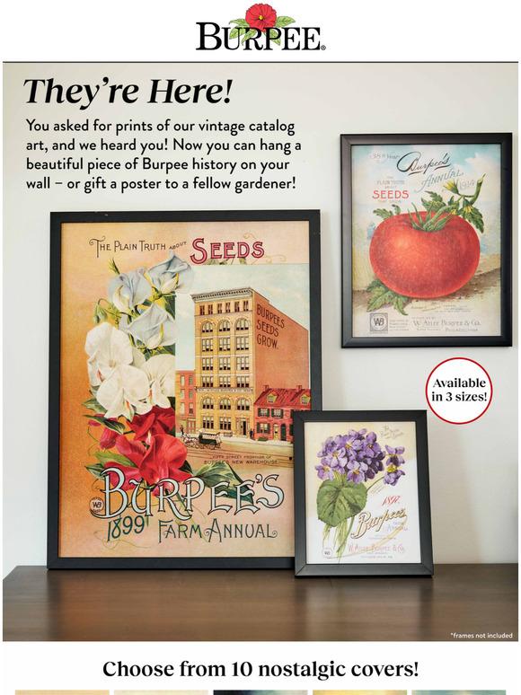 Burpee: Fall Back with Burpee: Vintage Posters Are HERE! | Milled