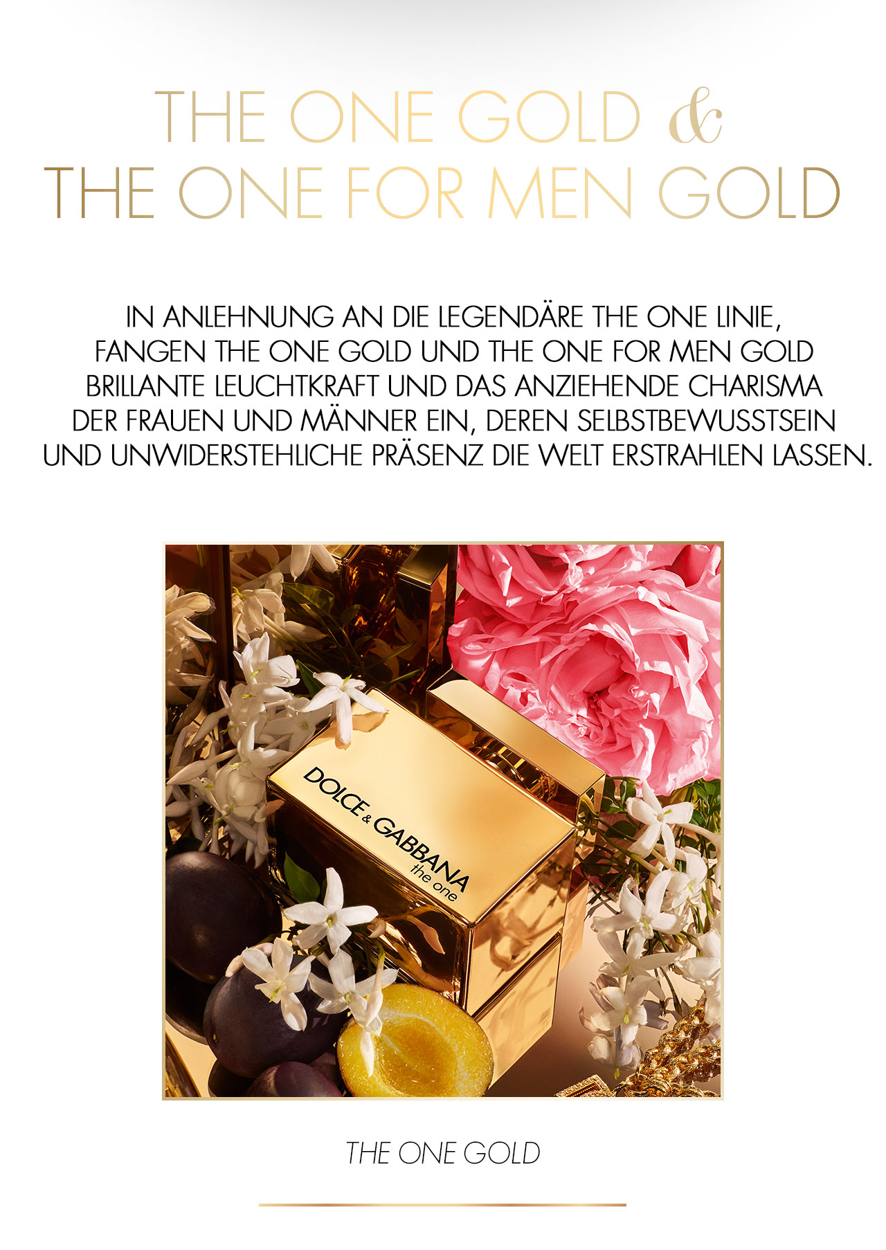 Pieper: Entdecken Sie THE ONE GOLD & THE ONE FOR MEN GOLD von Dolce ...