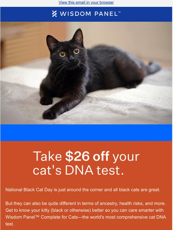 Wisdom Panel: 3 reasons we love black cats (and you should, too). | Milled