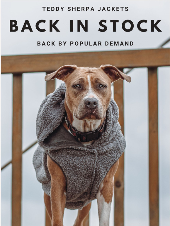 Spark Paws: Back In Stock - Dog Sherpa Jackets | Milled