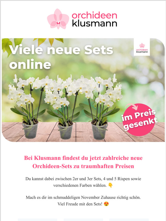 Orchideen Klusmann: Neue Sets in vielen bunten Farben | Milled
