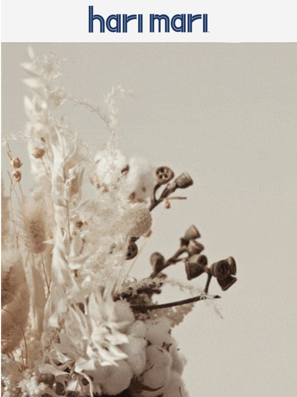 Hari Mari: Feeling Cozy Yet? | Milled