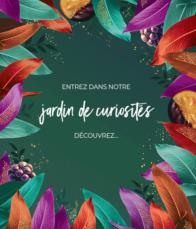 Yves Rocher: COLLECTION de NOL Plutt Mre Gourmande ou Orange Fondante ...