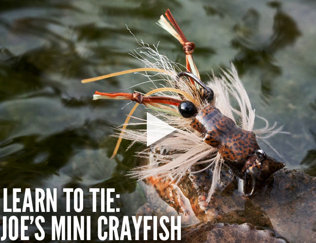 AvidMax: A Cult Classic Crayfish - Learn How to Tie Joe's Mini Crayfish ...