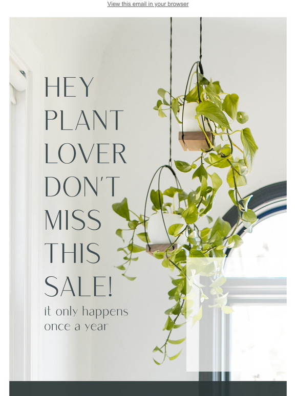 Braid & Wood: You Don't Want To Miss This Sale | Milled