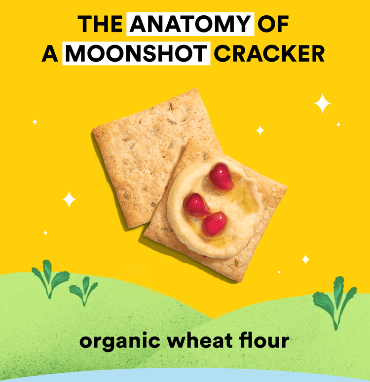 Moonshot: Anatomy of the Moonshot Cracker | Milled
