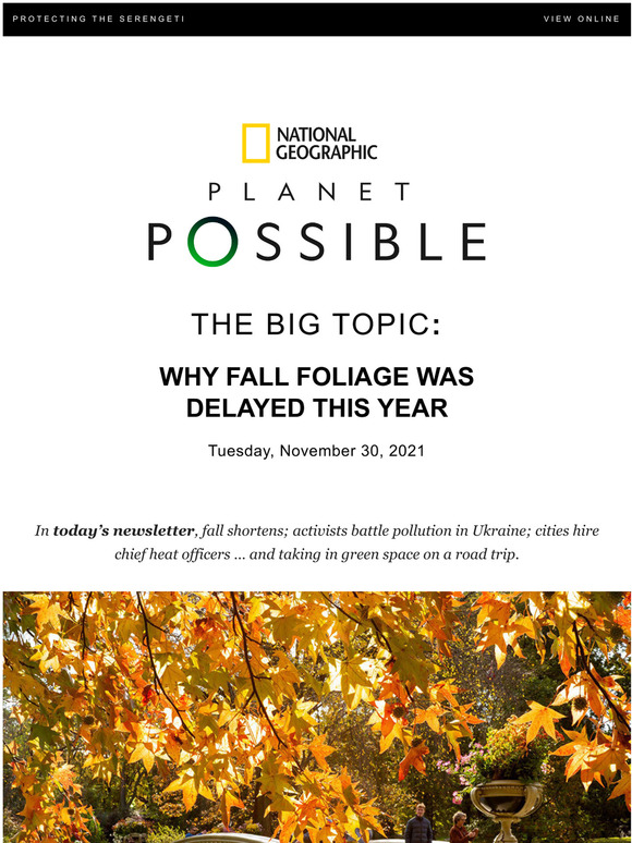 National Geographic: Why fall is falling forward | Milled