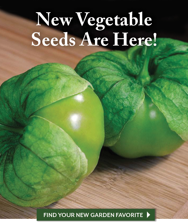 Park Seed: New Seeds for 2022 are HERE! | Milled