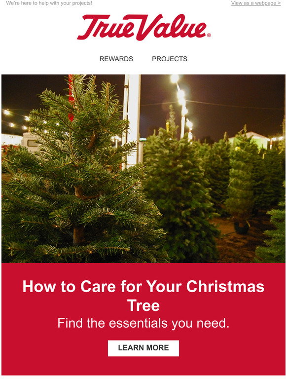 True Value: Learn How to Care for Your Christmas Tree NOW! | Milled