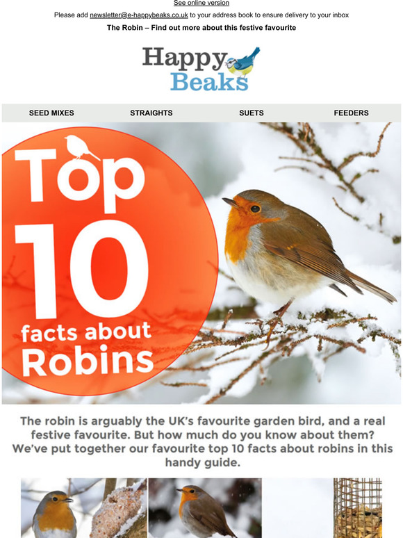 Happy Beaks: Top 10 facts about robins | Milled