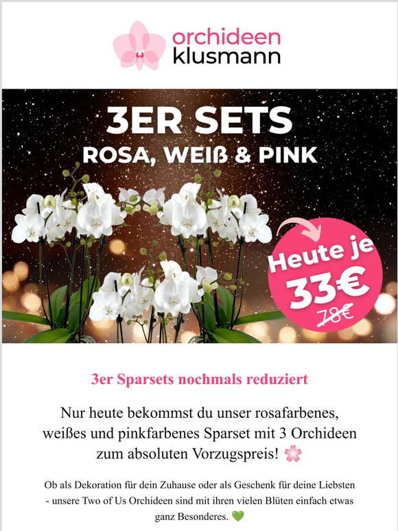 Orchideen Klusmann DE: Nur heute: Drei Orchideen auf einen Schlag! | Milled