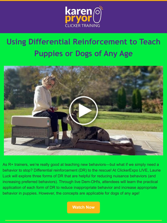 Karen Pryor Clicker Training / Sunshine Books: Teach an Excitable Dog ...