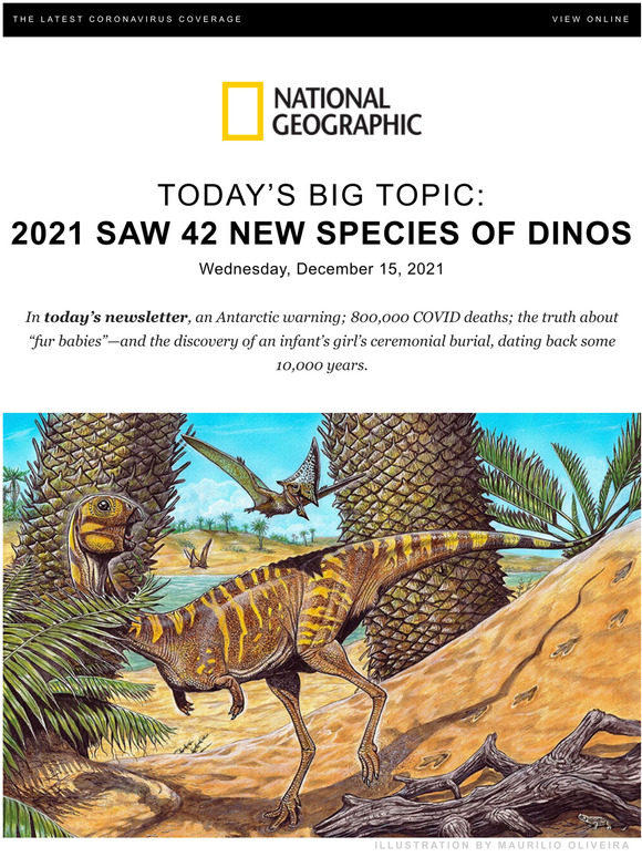 National Geographic: An explosion in dino discovery | Milled