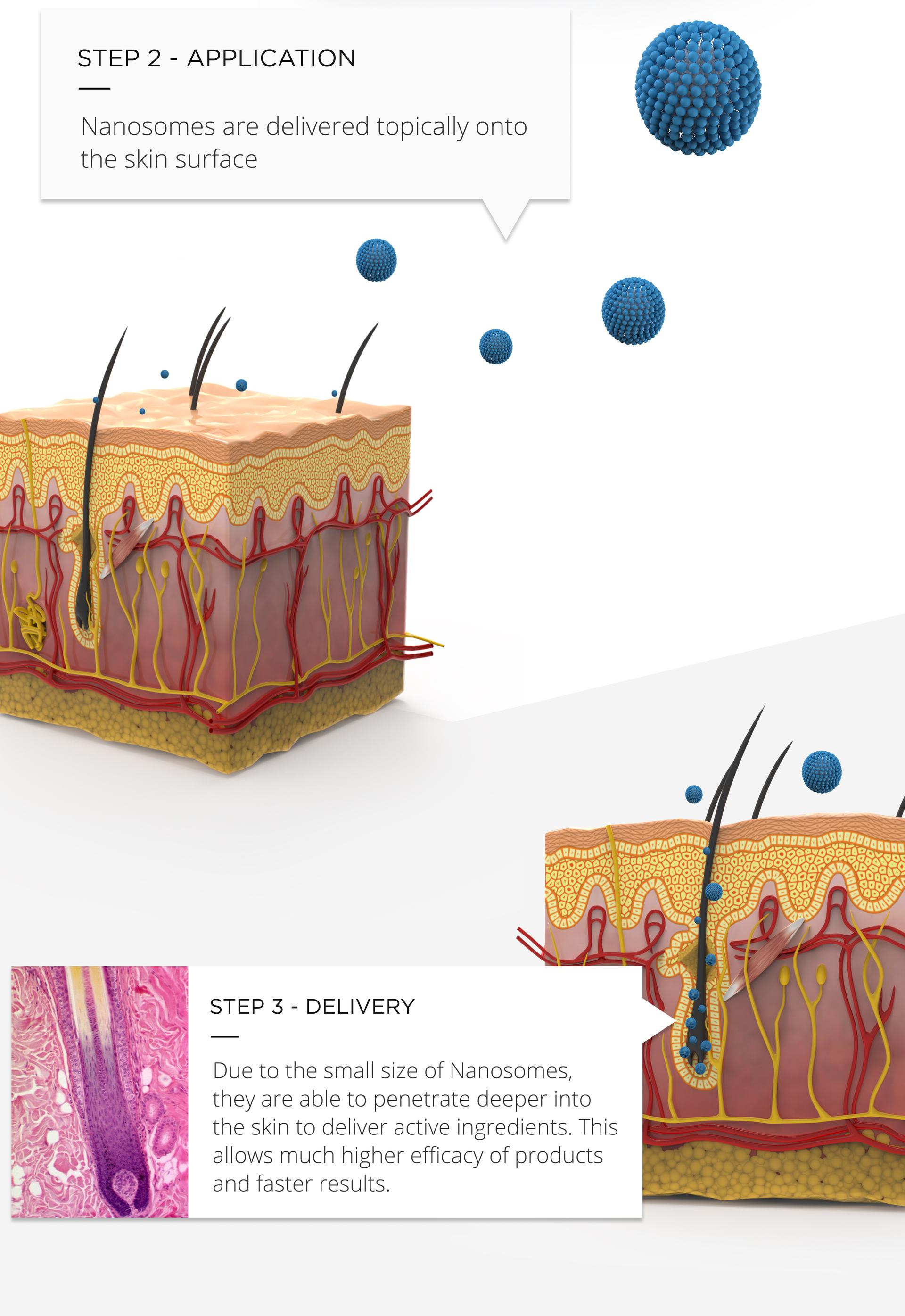DS Laboratories: Get to know our Advanced Nanosome Delivery Technology ...