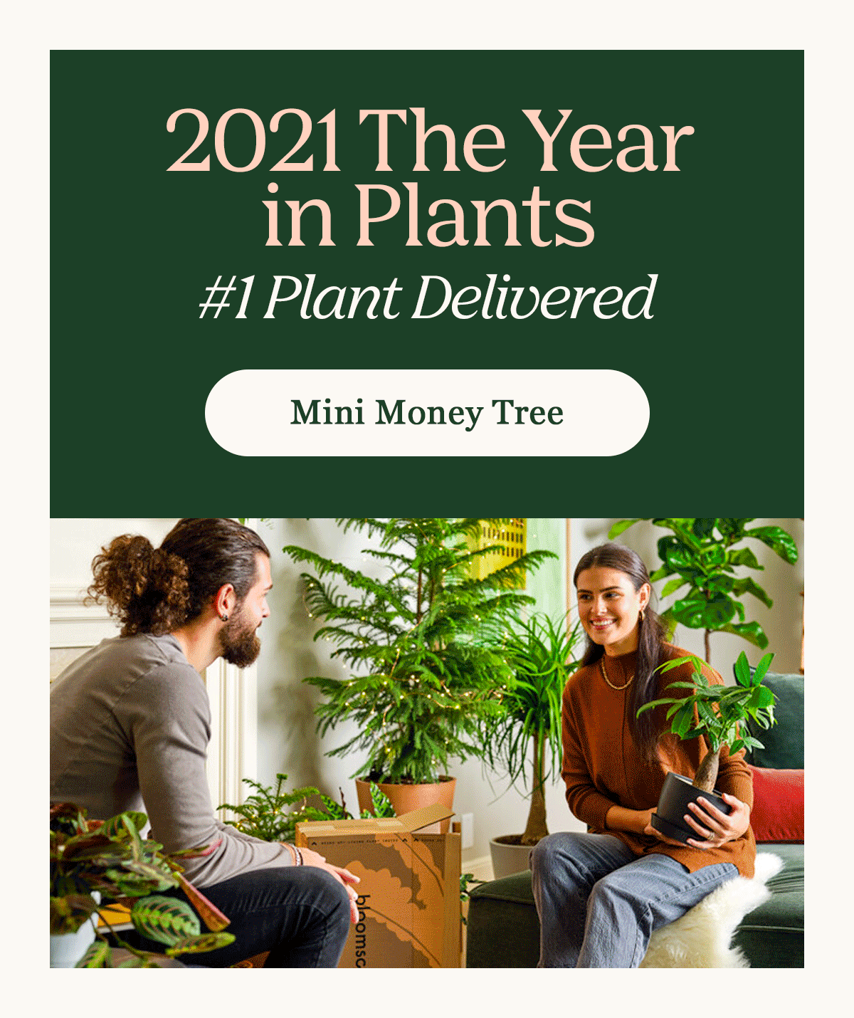 Bloomscape: Which Plant Was #1 in 2021? | Milled