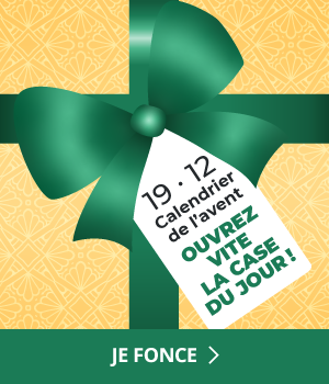 bricozor.com: -L'offre n19 du calendrier de l'avent : La plancha gaz ...