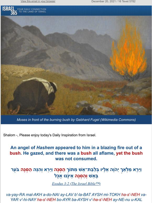 Israel365: How the Burning Bush Foreshadowed the Giving of the Torah on ...