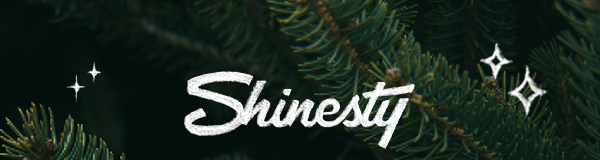 Shinesty: A sincere apology about our Holiday Catalog | Milled