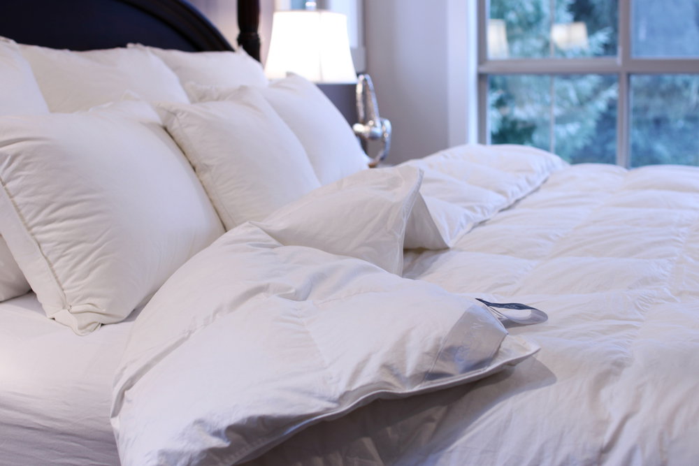 CrownGoose: The History of Eiderdown Duvet by CROWN GOOSE | Milled