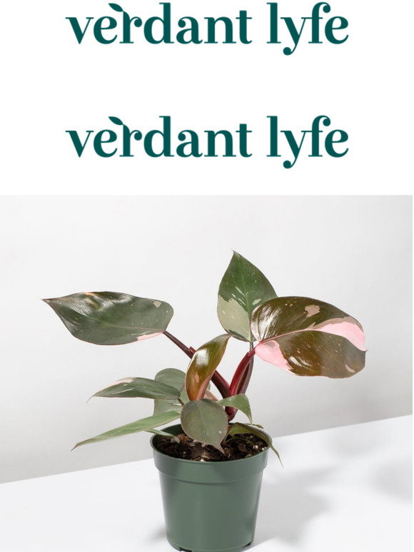 Verdant Lyfe: Want New For 2022? | Milled