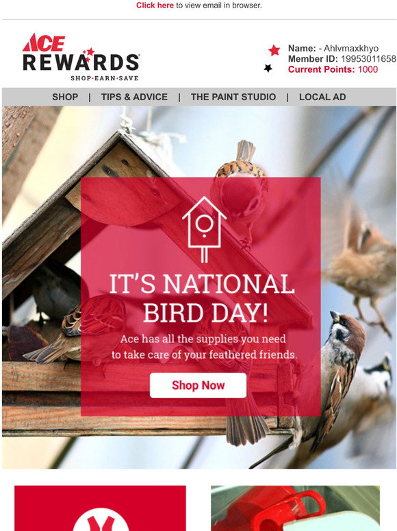 Ace Hardware: It's National Bird Day! | Milled