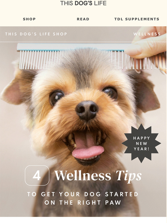 This Dog's Life: 4 tips to get your dog started on the right paw | Milled