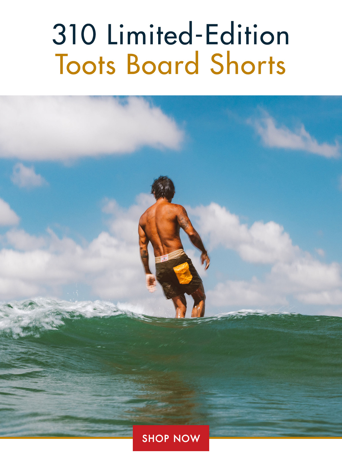 Birdwell: Limited Edition: 310 Limited Edition Toots Board Shorts | Milled