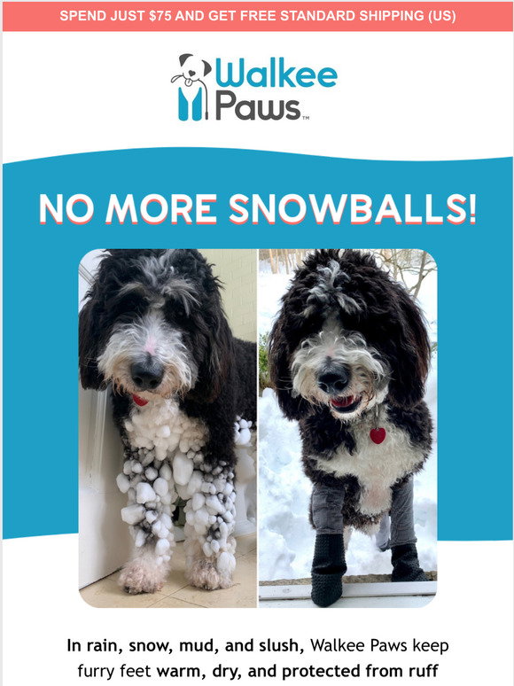 Walkee Paws: How to avoid the dreaded paw bath after every walk! | Milled