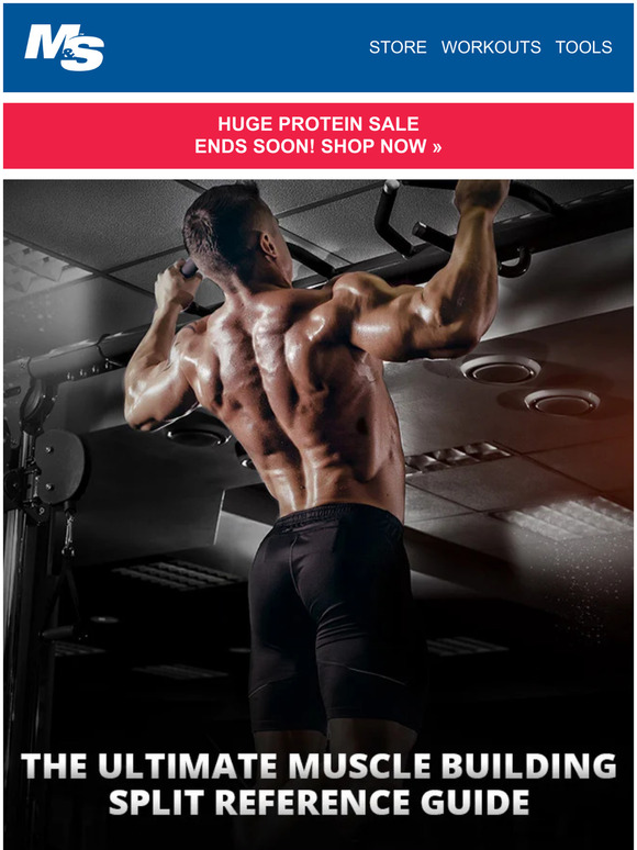 Muscle & Strength: The Ultimate Muscle Building Split Reference Guide ...