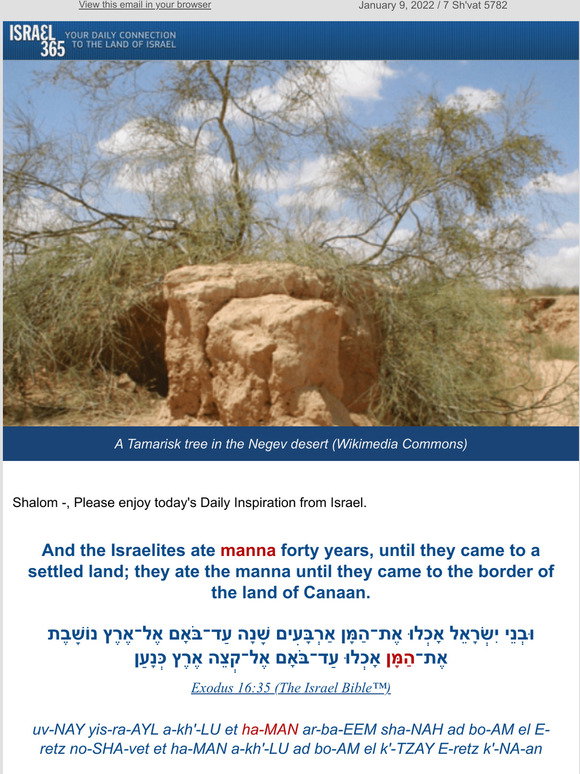 Israel365: Manna: Bread of Heaven | Milled