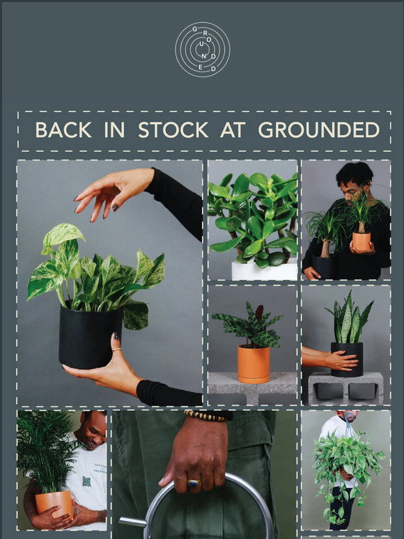 Grounded Plants: Grounded-plants.com Has A New Look! | Milled