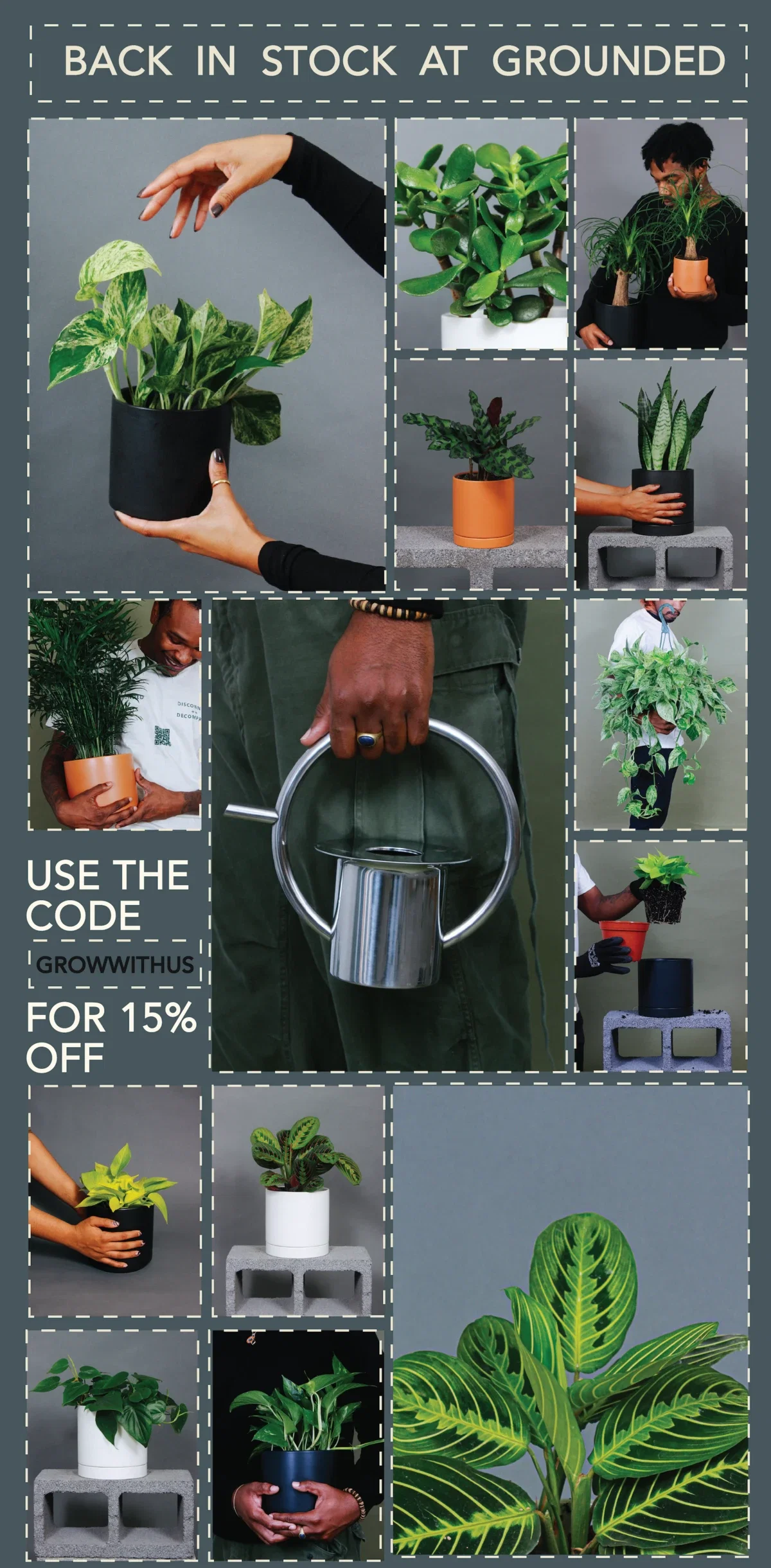 Grounded Plants: Grounded-plants.com Has A New Look! | Milled
