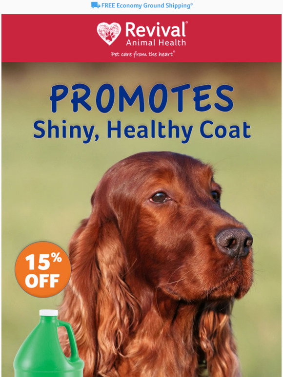 Revival Animal Health: Help Your Dogs Shine! | Milled