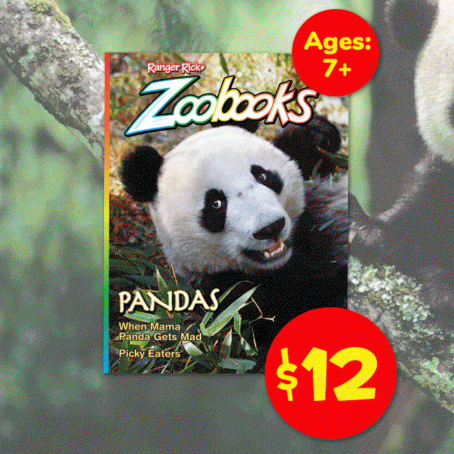 Zoobooks: Get to know the animal kingdom with Ranger Rick Zoobooks ...