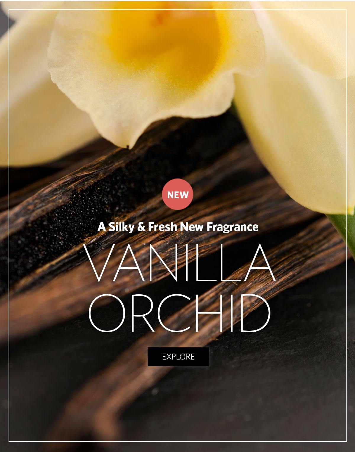 Agraria : Introducing our NEW Fragrance: Vanilla Orchid | Milled