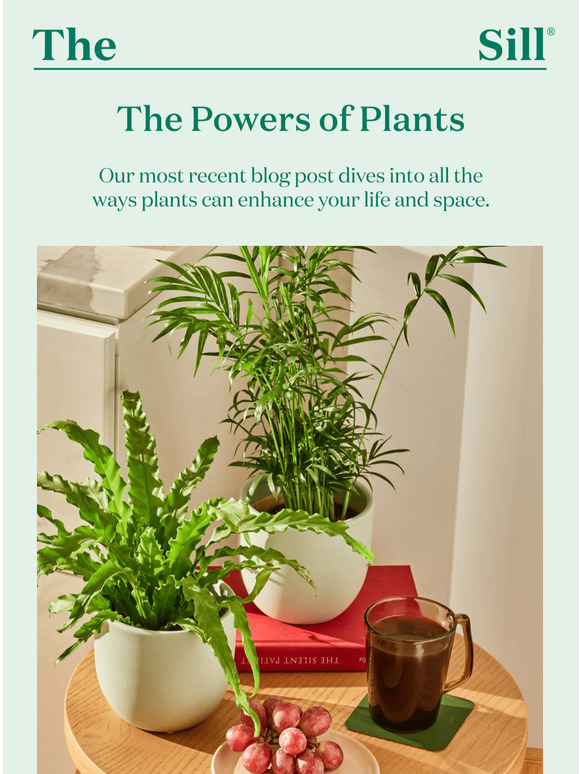 Submit Your Brand | Milled